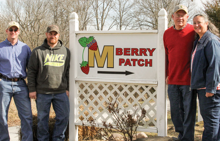 Strawberry fields forever – Illinois Country Living Magazine