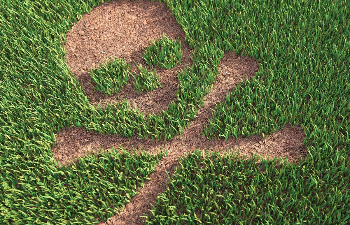 A lesson in chemistry – Illinois Country Living Magazine