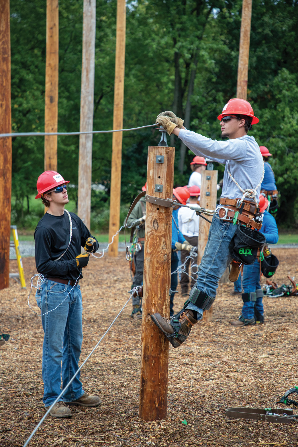 Last chance to apply for lineworker scholarship – Illinois Country ...